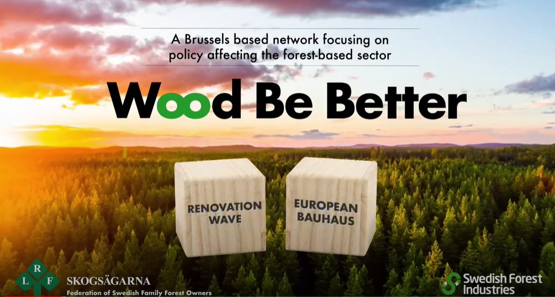 BASAJAUN| Horizon 2020 project - basajaun-horizon.eu